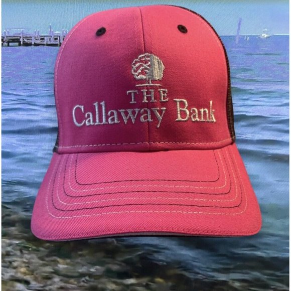 Cap America | Accessories | Baseball Cap New Pink Front Black Mesh Back ...